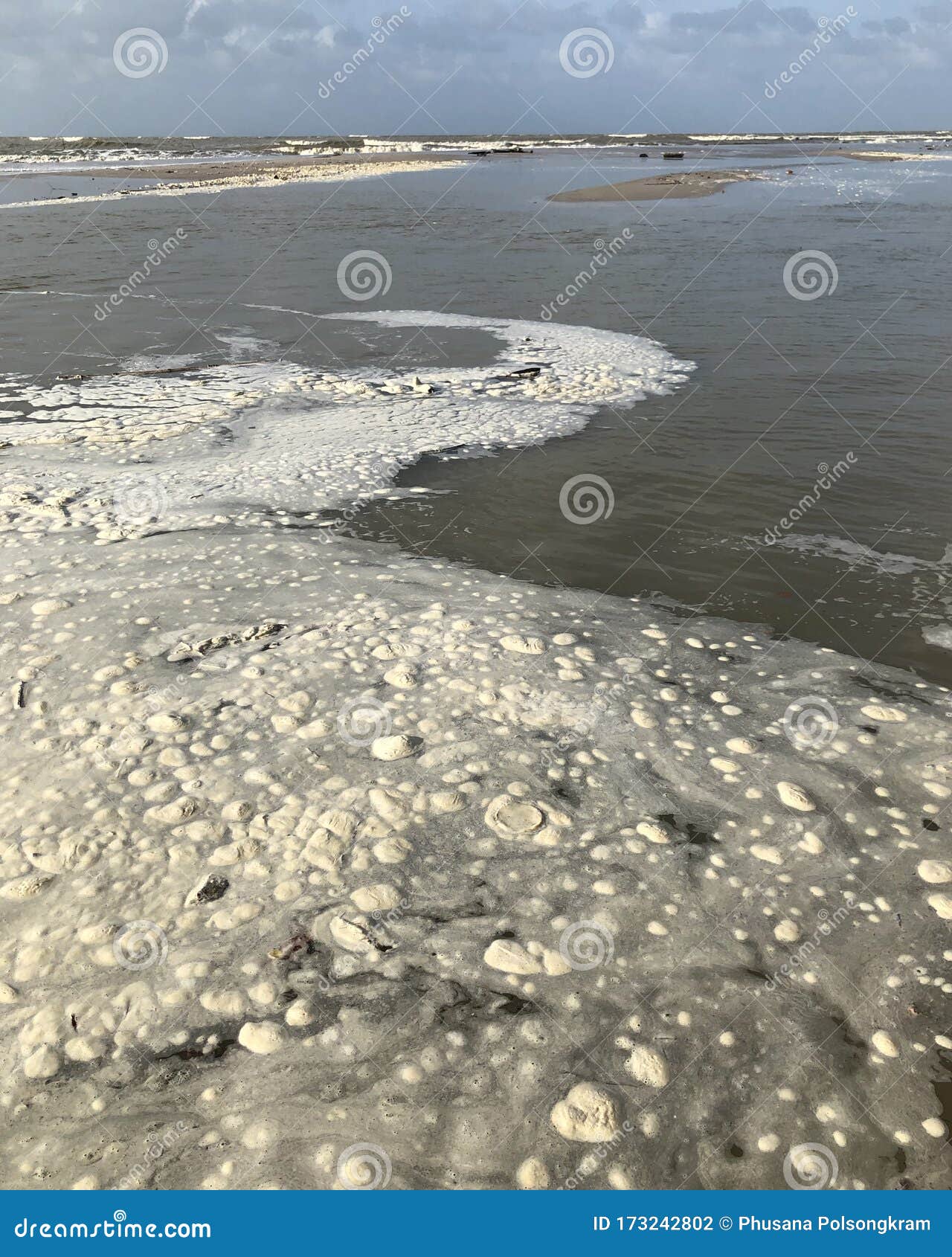 Water Pollution Problem at Seashore Stock Photo - Image of water ...