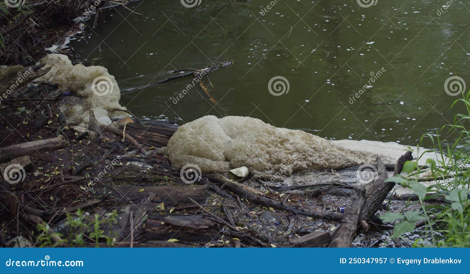 Water Pollution in the River. Ecology Stock Video - Video of ...