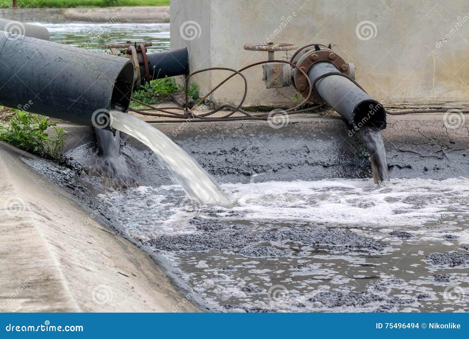 Water pollution in river. stock photo. Image of effluent - 75496494