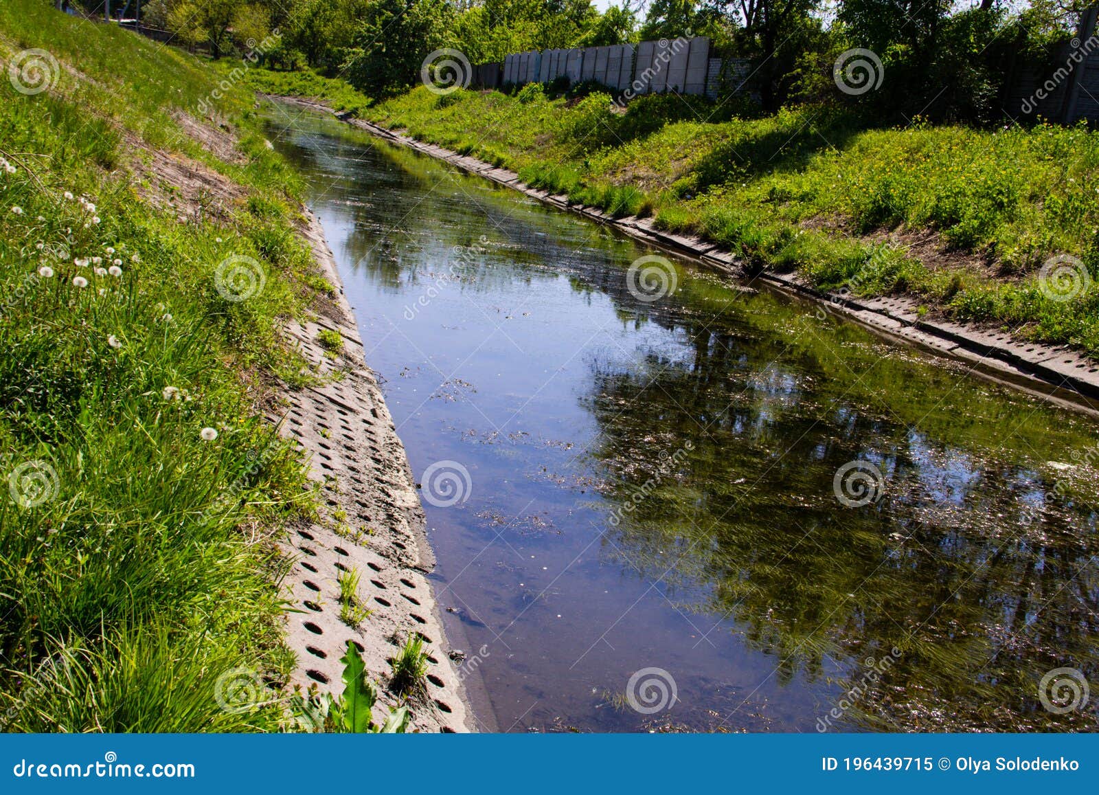 Water Pollution in Urban River Stock Image - Image of green, city ...