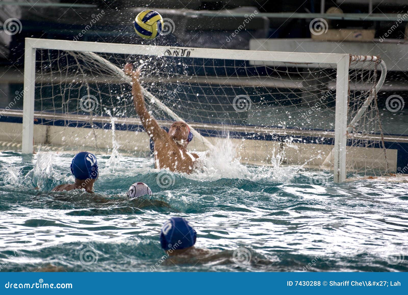 Water Polo Action editorial stock photo. Image of champiosnhip - 7430288