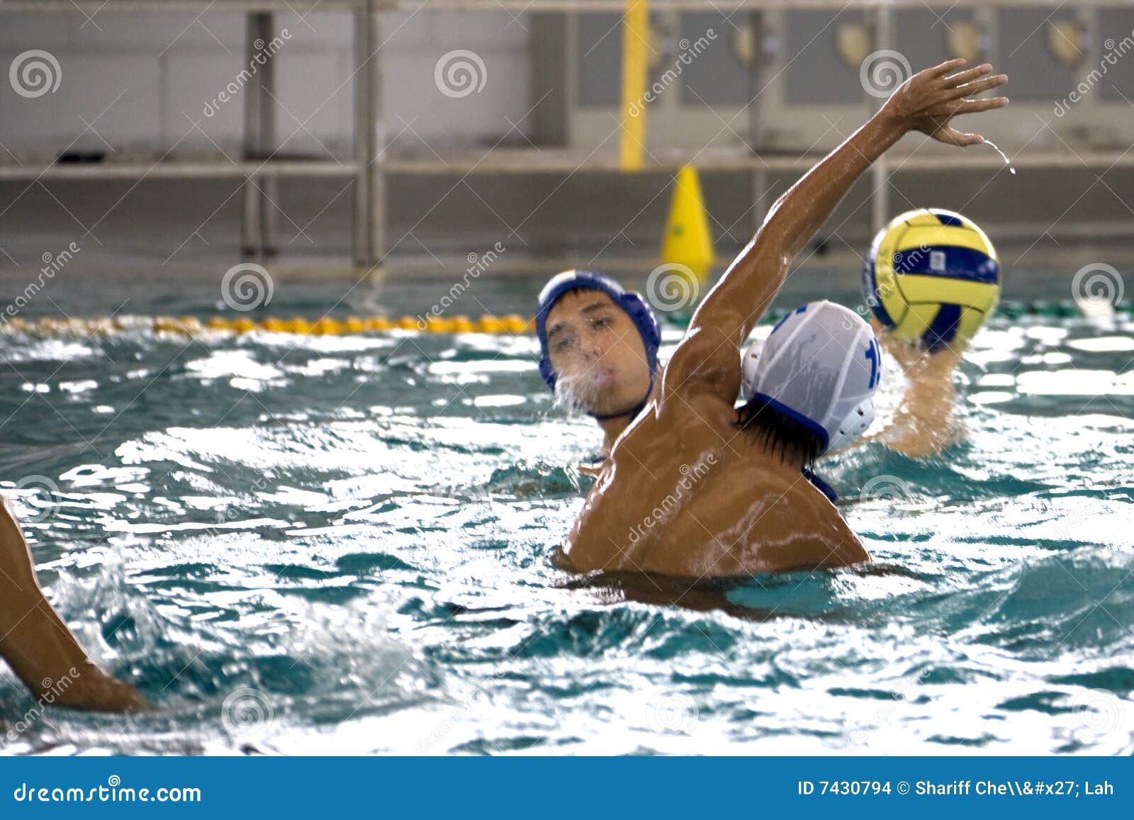 Water Polo Action editorial stock image. Image of teamwork - 7430794