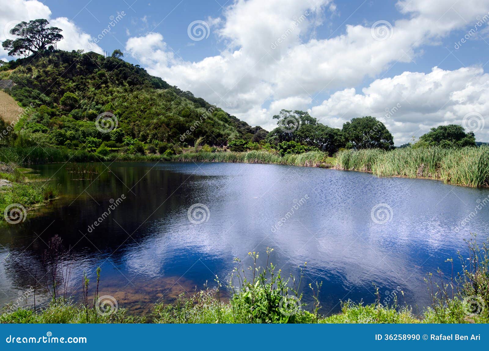 Water pond stock photo. Image of spring, garden, copy - 36258990