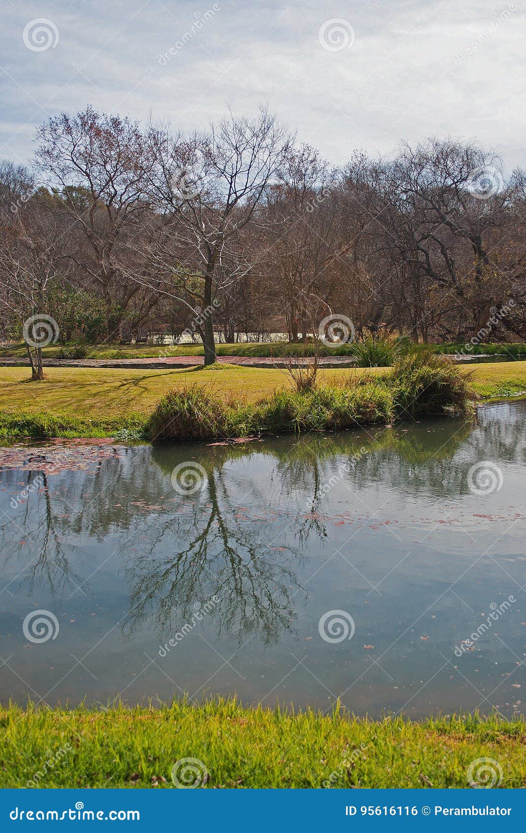 WATER POND in a PARK stock photo. Image of environment - 95616116