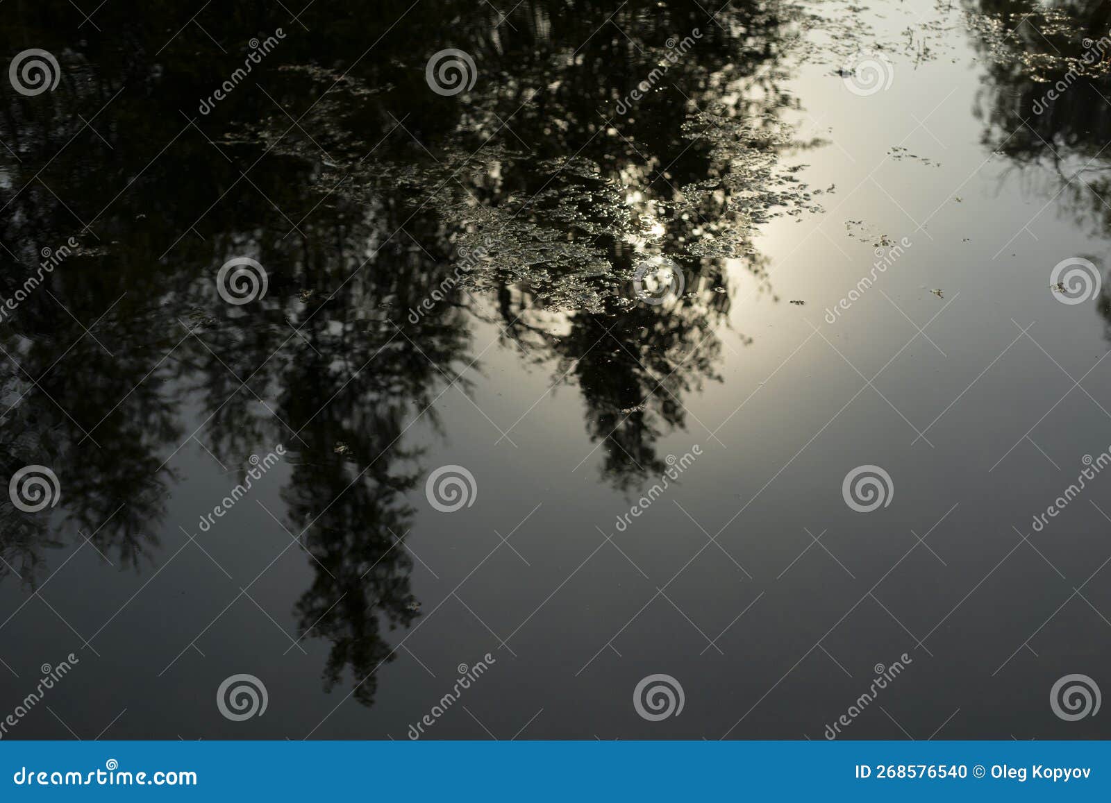 Water in Pond. Reflection in Water Stock Photo - Image of lake, meadow ...