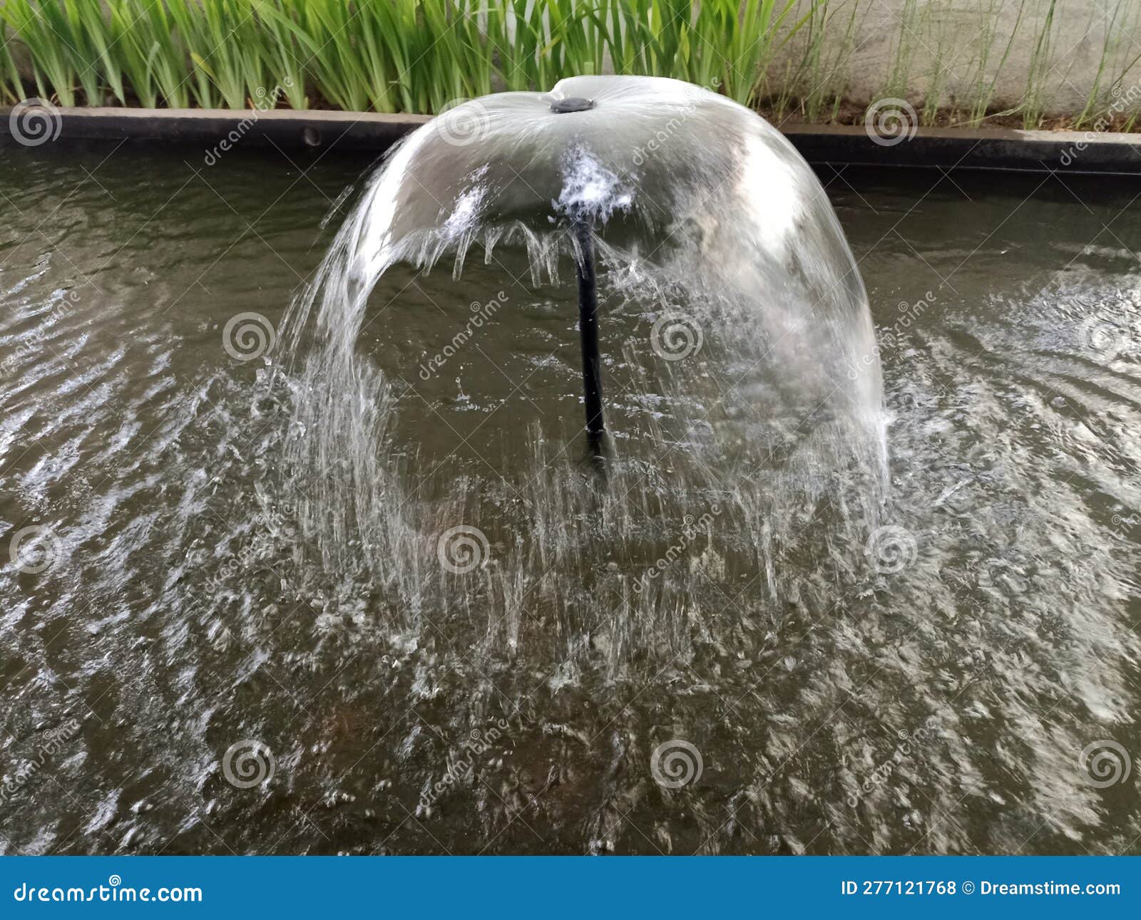 Unic Nature Background Environment Stock Photos - Free & Royalty-Free ...