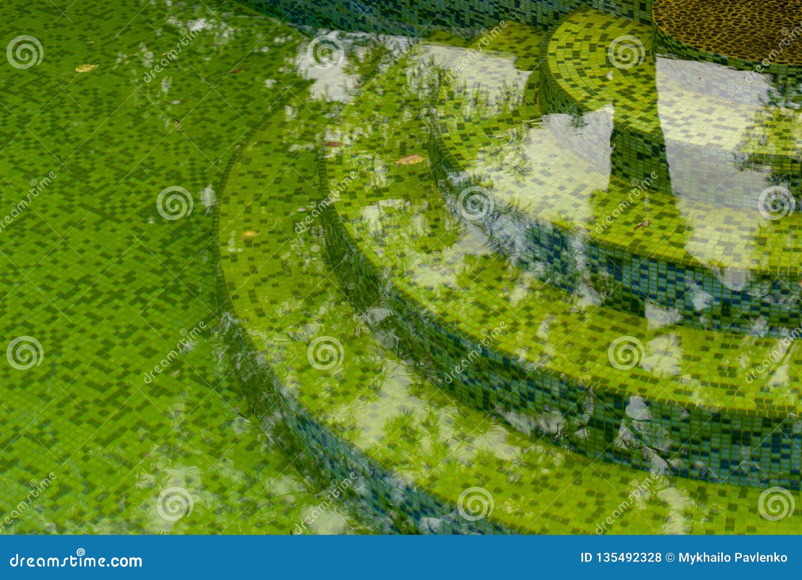 The Water in the Pool is Rotten. Unclean Pool Stock Photo - Image of ...