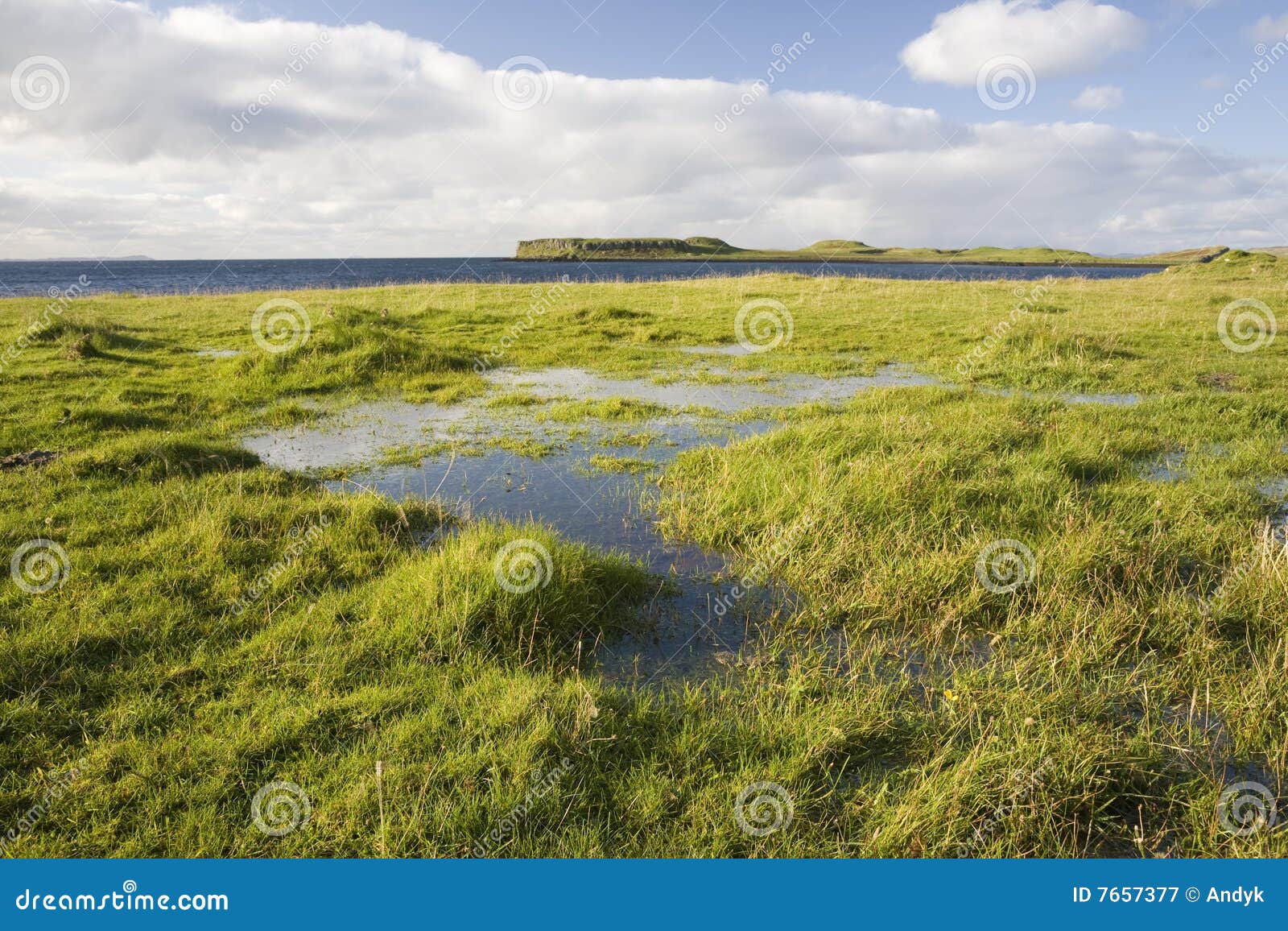 Water Pools in Green Grass at Coast Line Stock Image - Image of ...