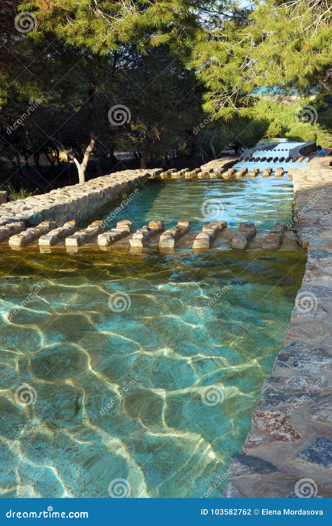 Water Pools with Waterfalls in a Pine Park, Top View Stock Photo ...