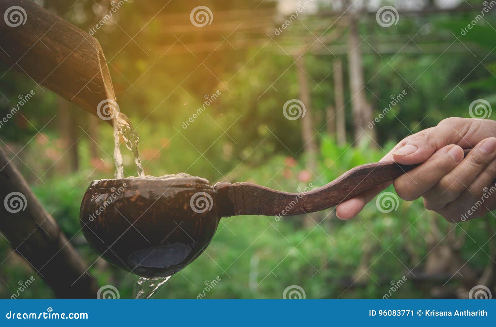 Water Pouring in Coconut Shell and Hand Holding the Water Bowl Stock ...