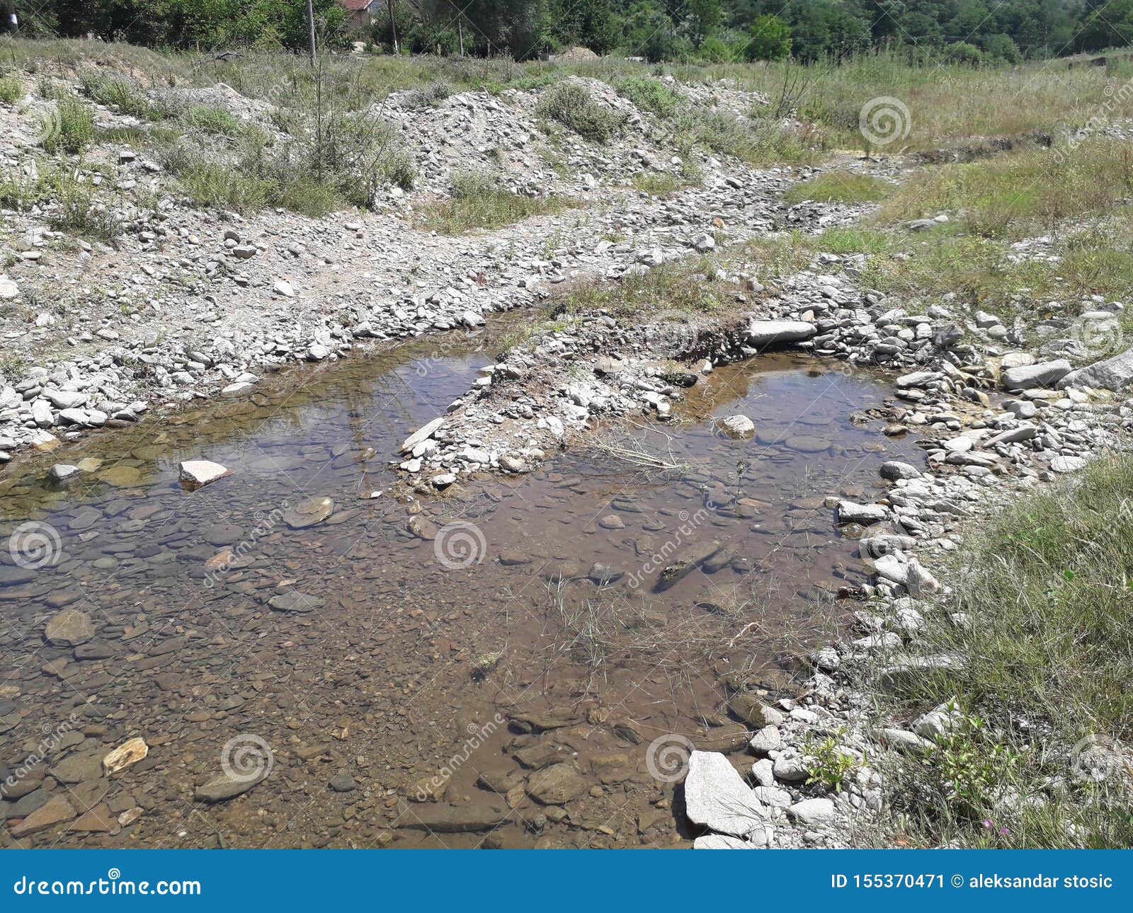 Water stock image. Image of grass, swamp, water, puddle - 155370471