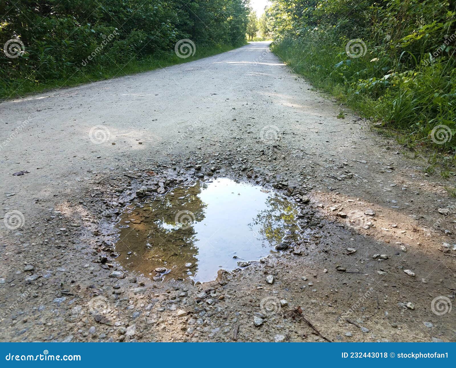 Water Puddle with Mud and Pebbles or Rocks Stock Photo - Image of ...
