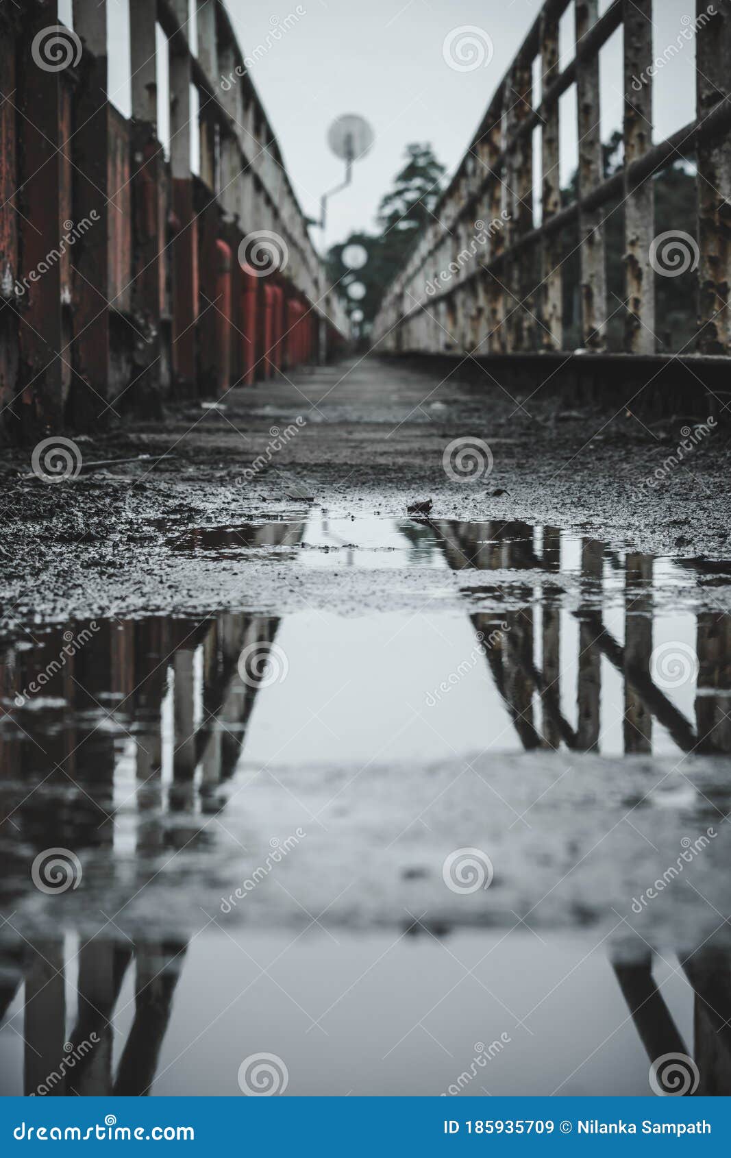Water Puddle Reflection on a Pedestrian Walking Bridge Stock Image ...