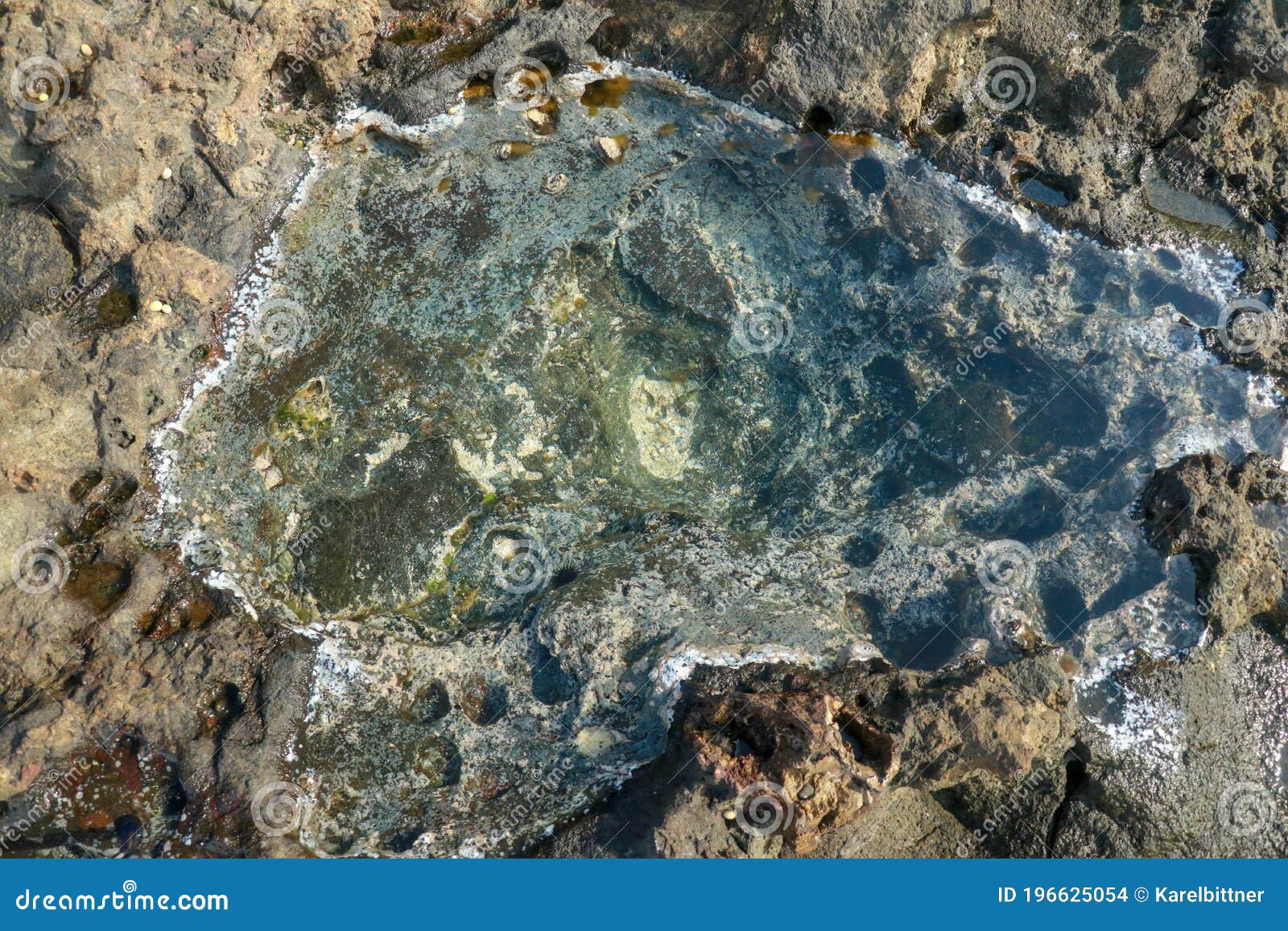 Water Puddle and Rock Texture at the Ocean Coast Stock Photo - Image of ...