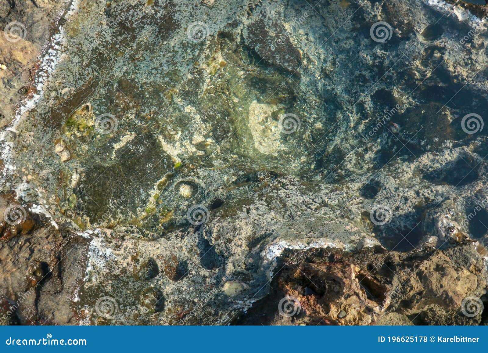 Water Puddle and Rock Texture at the Ocean Coast Stock Photo - Image of ...