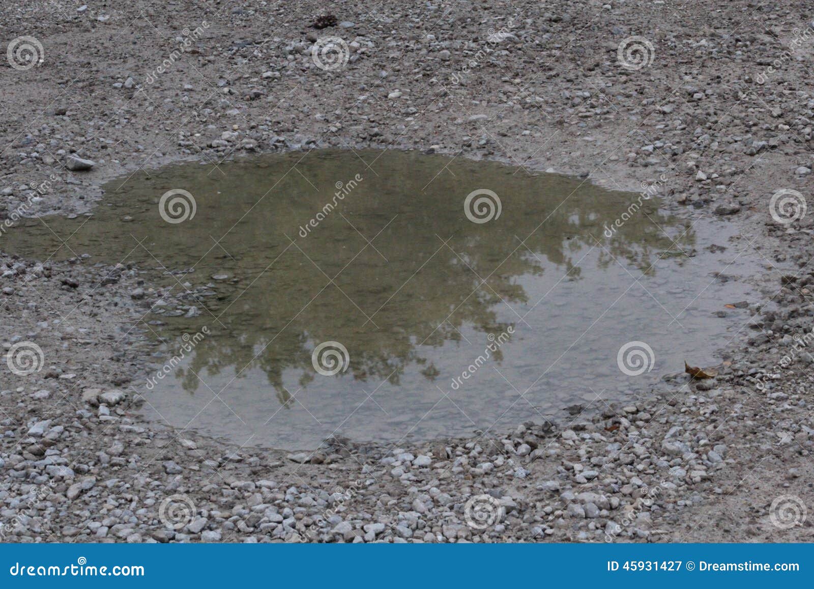 Water puddle stock image. Image of sideways, water, heart - 45931427