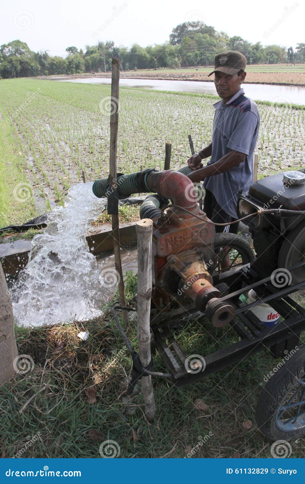 Water pump editorial stock image. Image of farmers, pump - 61132829