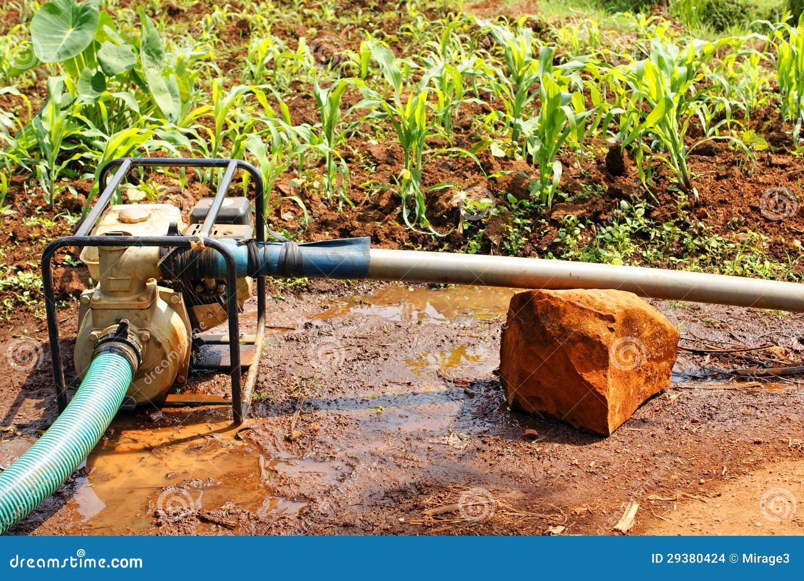 Water Pump in the Field during Dry Season Stock Photo - Image of ...