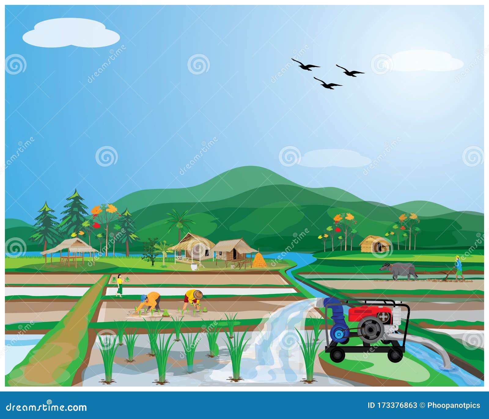 Water pump in paddy field stock vector. Illustration of agriculture ...
