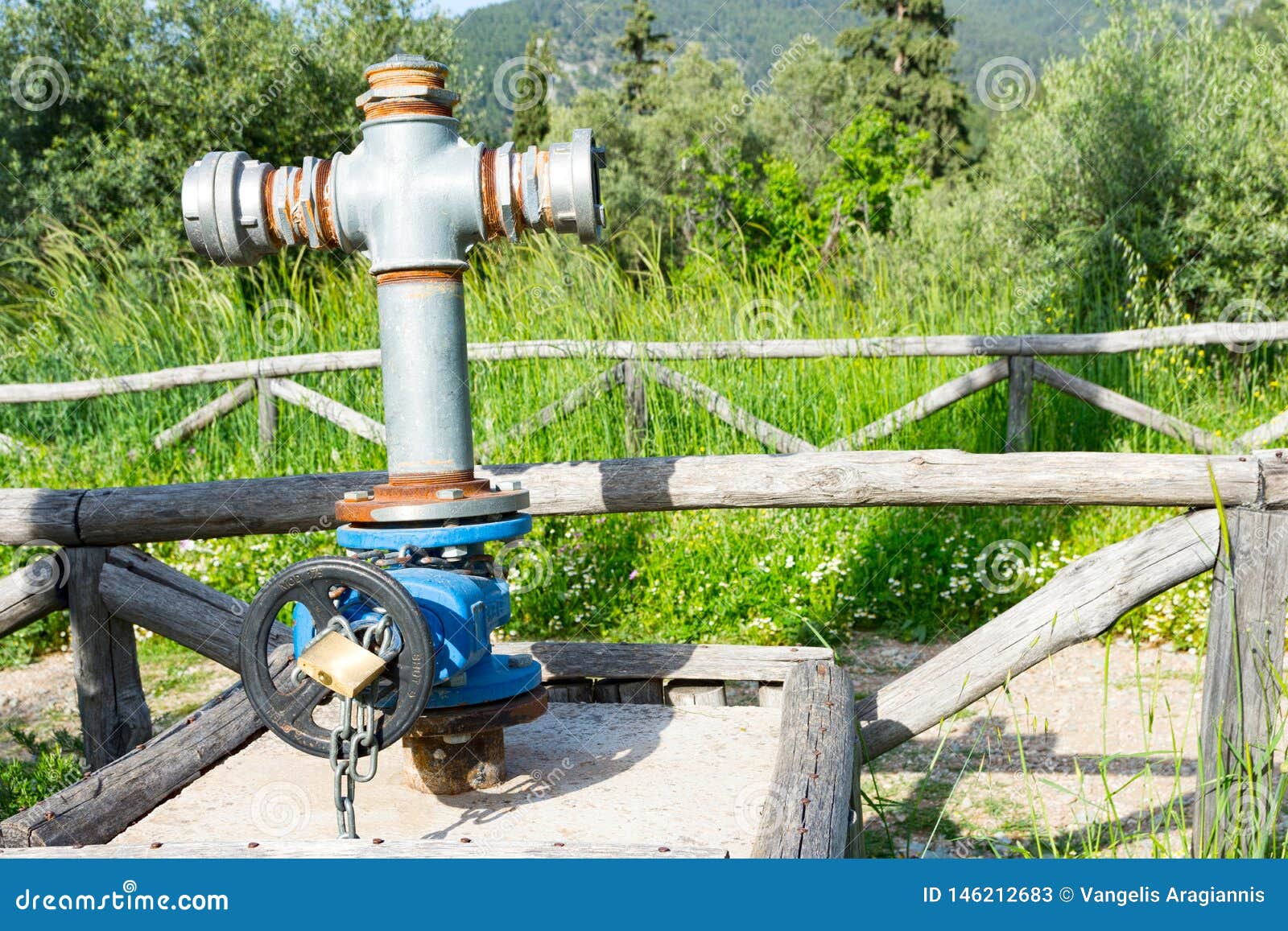 Water pumps in the forest stock image. Image of pump - 146212683