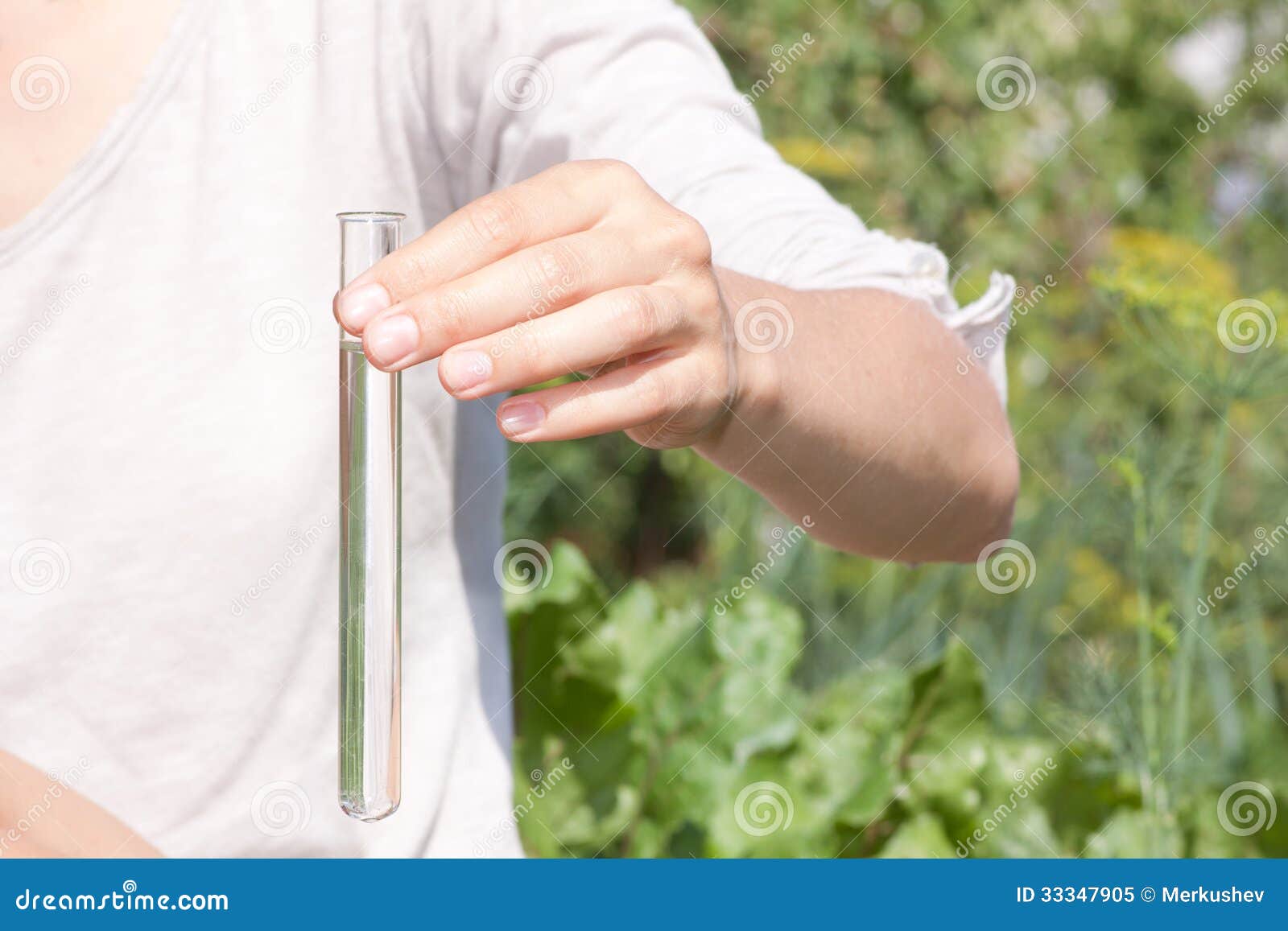 Water Purity Test stock image. Image of clean, liquid - 33347905