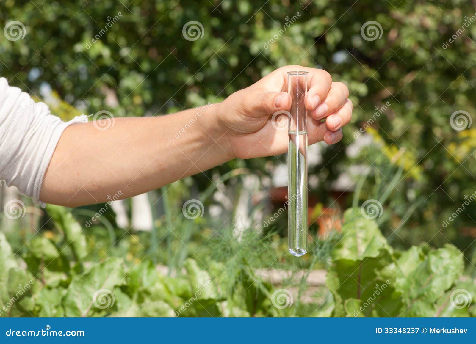 Water Purity Test stock image. Image of liquid, analysis - 33348237