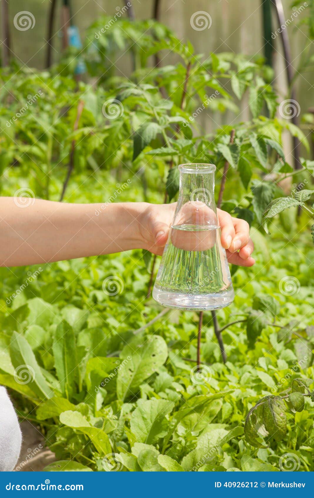 Water Purity Test, Liquid in Laboratory Glassware Stock Photo - Image ...
