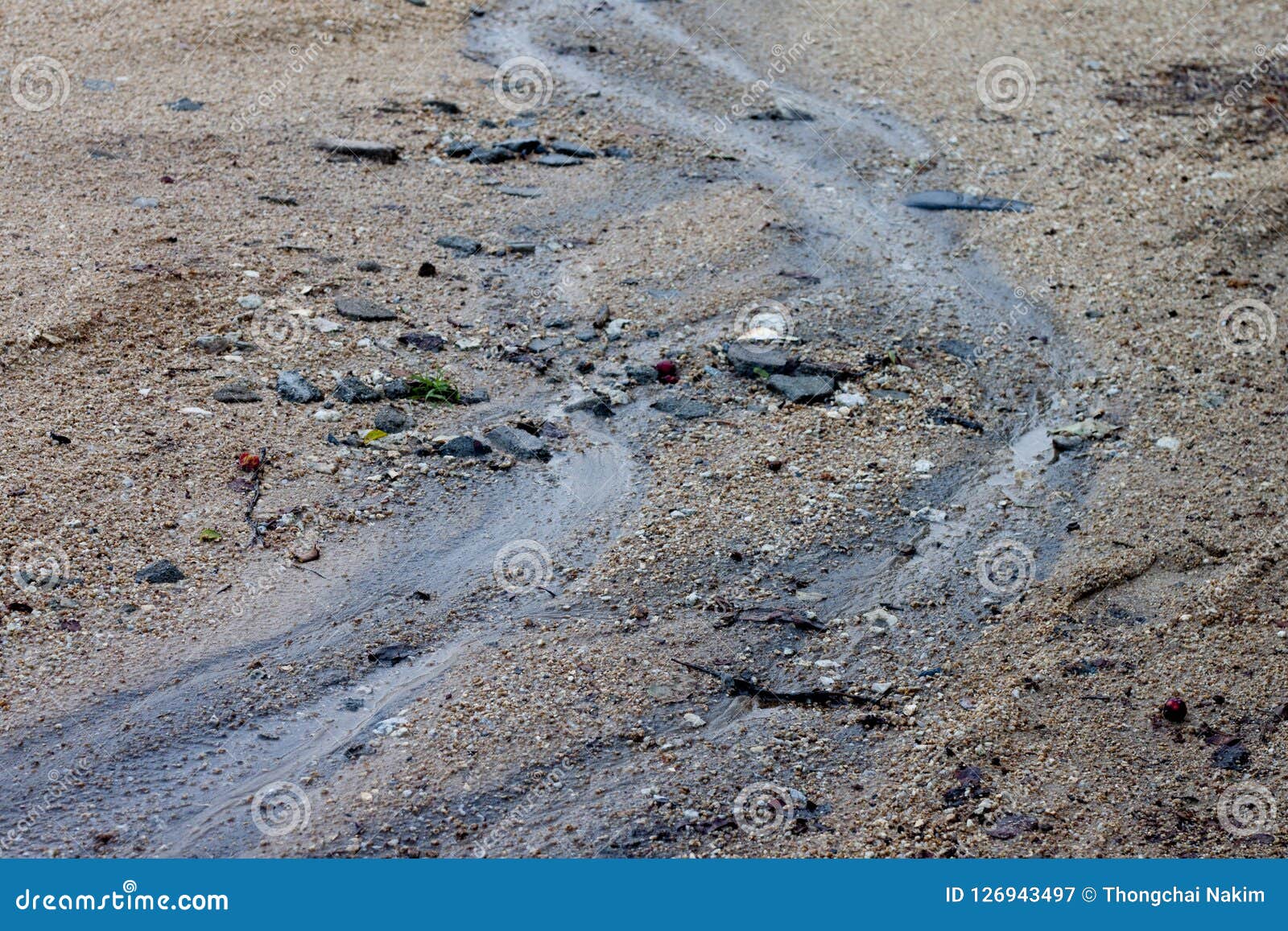 Water on soil road. stock image. Image of biting, ecology - 126943497