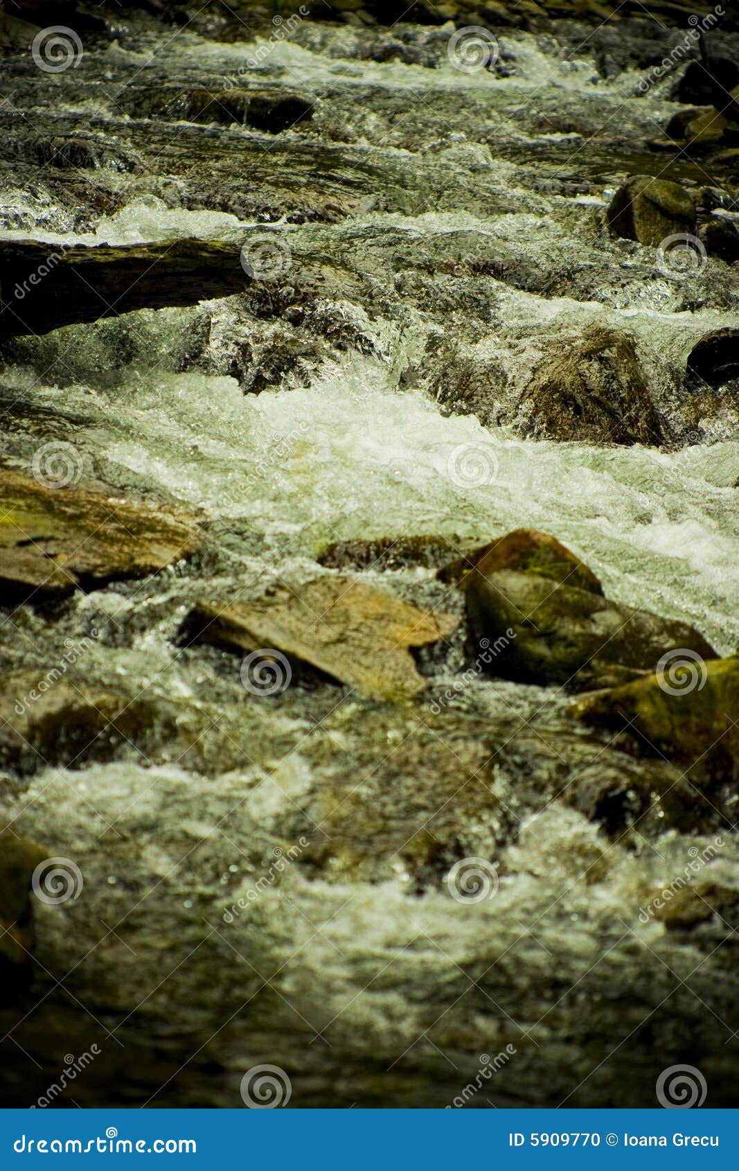 Water rapids stock photo. Image of colored, nature, rolling - 5909770