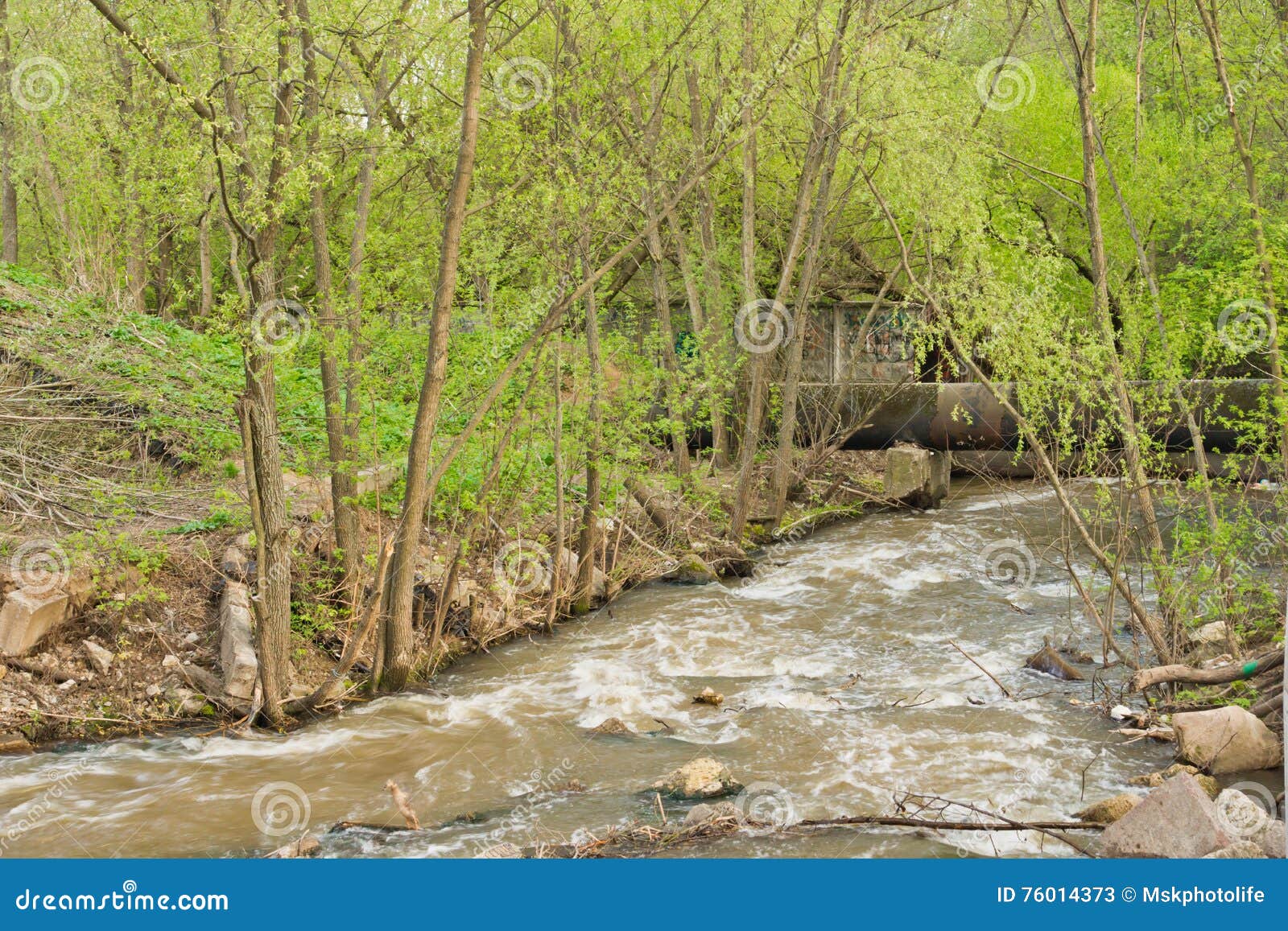 Water Rapids on the River in Spring Stock Image - Image of park, season ...