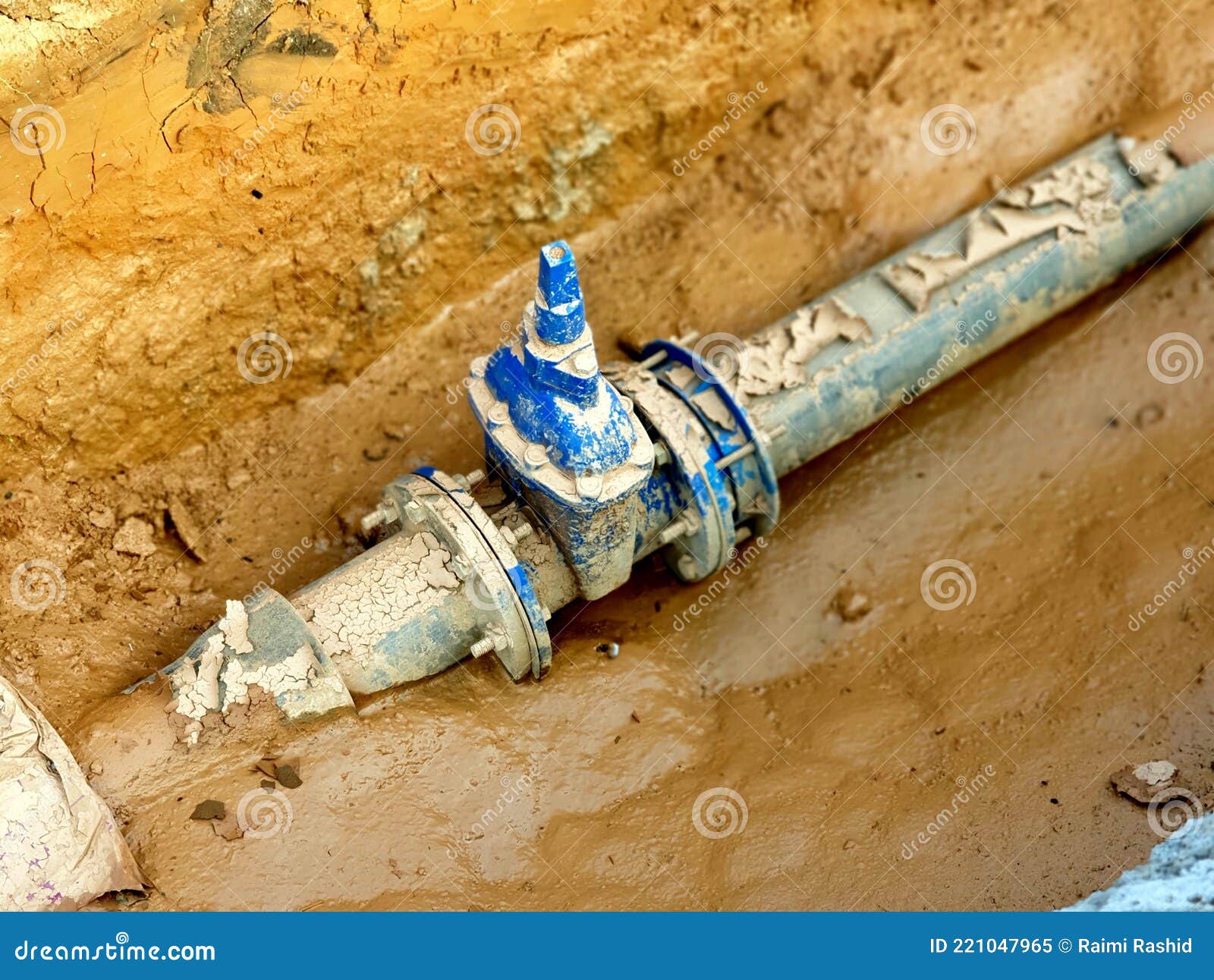 Water Recticulation Valve stock image. Image of invertebrate - 221047965