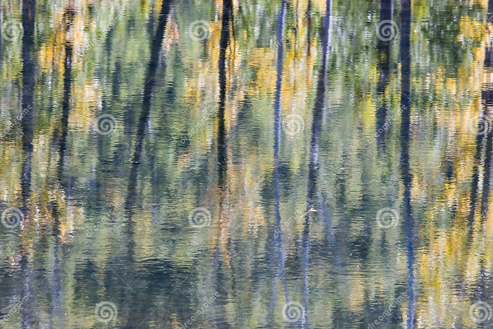 Water reflection abstract stock image. Image of pond, calm - 1200177