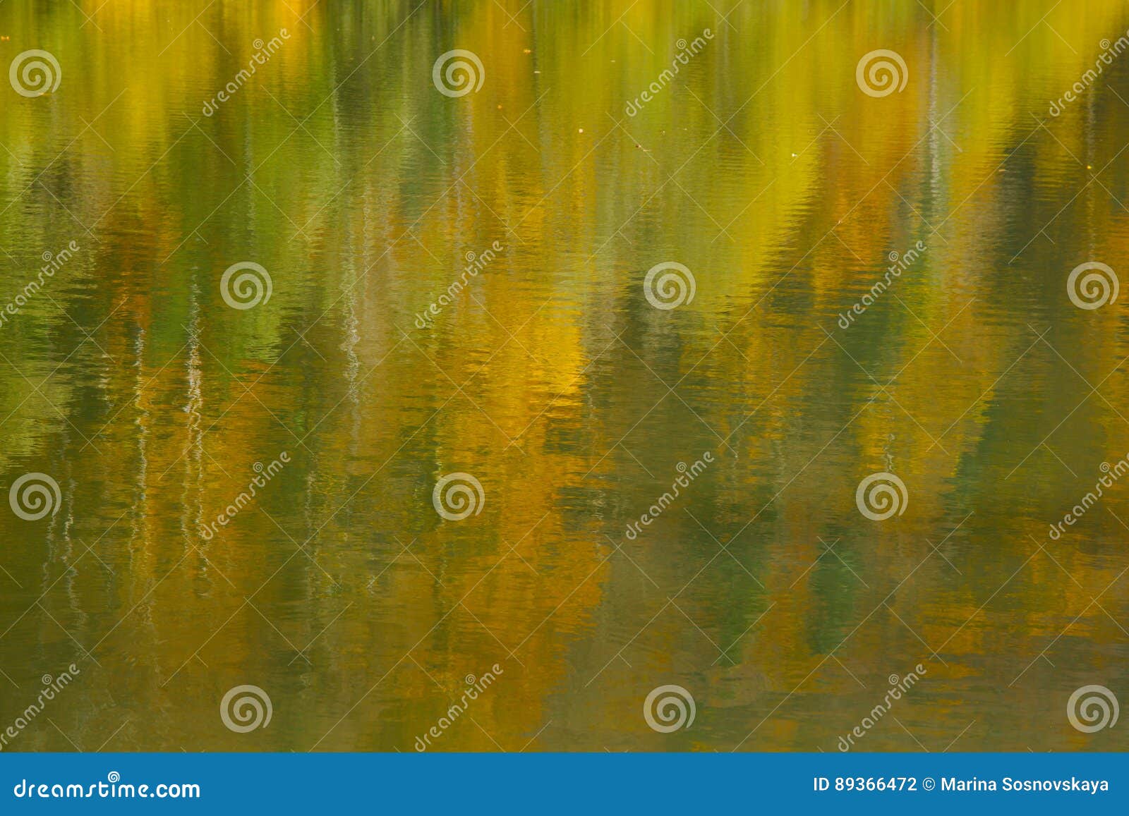 Water Reflection of Autumn Forest Stock Photo - Image of abstract, park ...