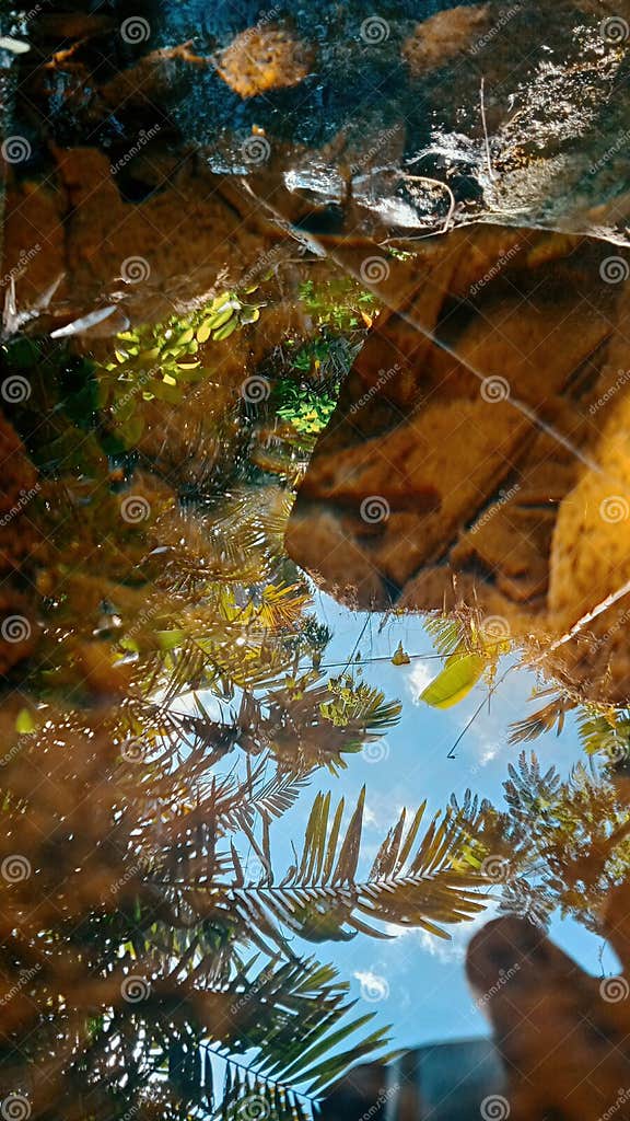 Water reflection stock photo. Image of beautiful, nature - 289885004