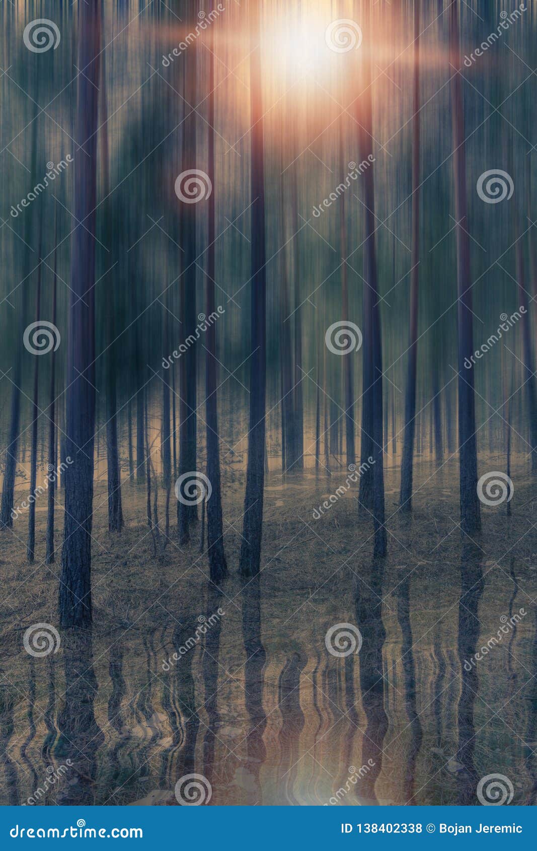 Water Reflection of Blury Forest Stock Photo - Image of outdoor, season ...