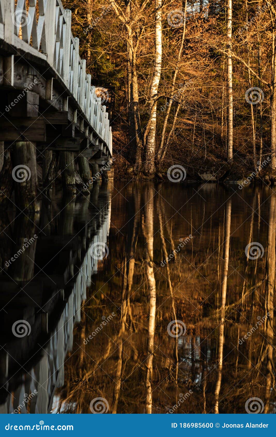 Water Reflection from a Bridge Stock Photo - Image of water, bridge ...