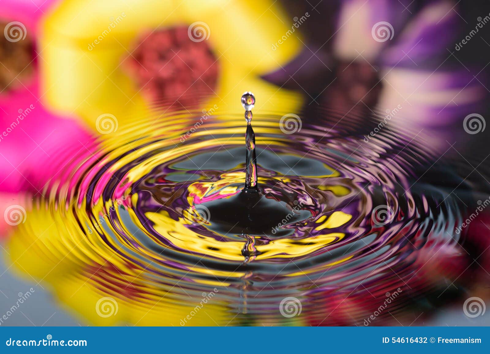 Water Reflection of Colorful Flowers Stock Photo - Image of design ...