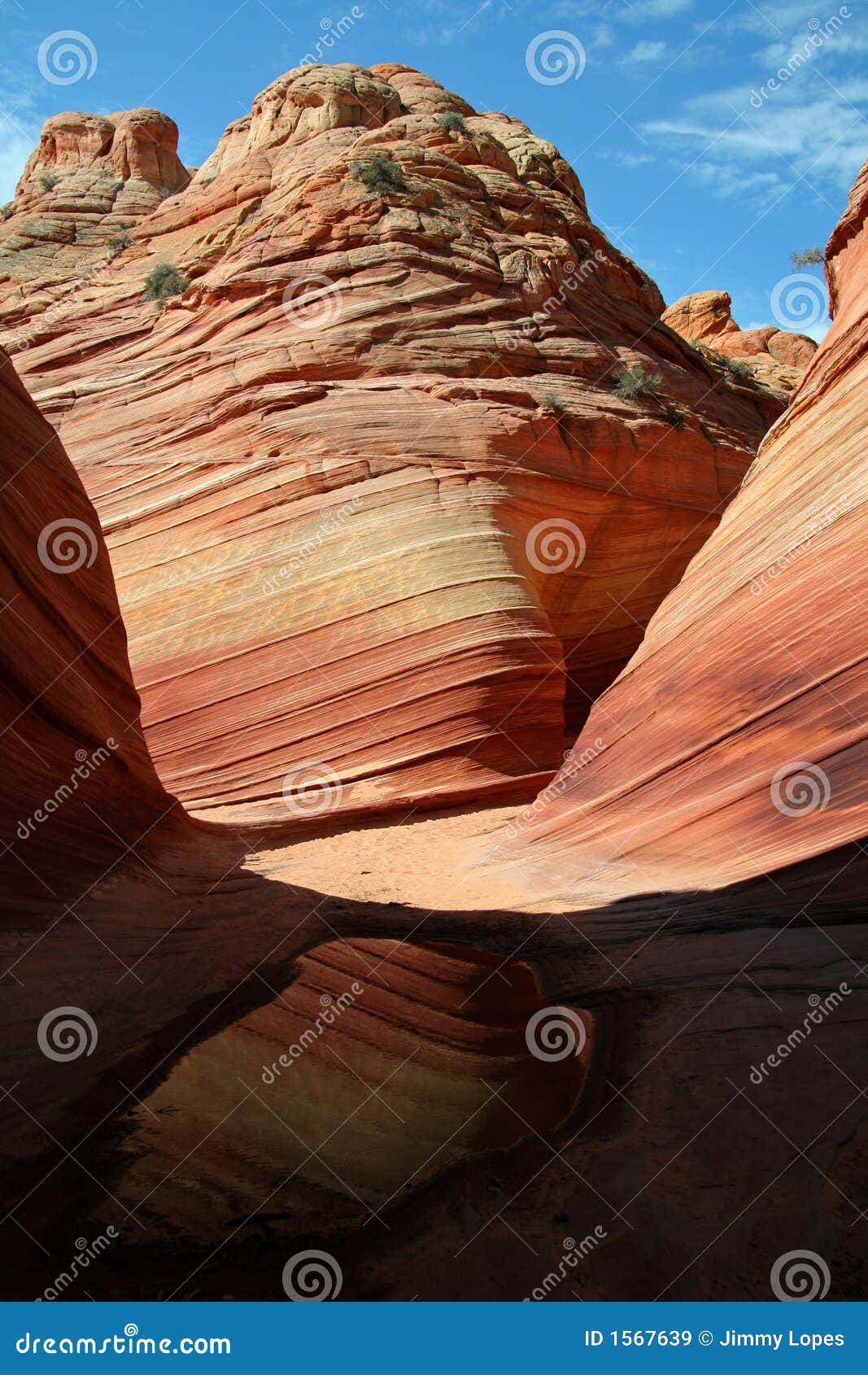 Water Reflection in Desert stock image. Image of arid - 1567639