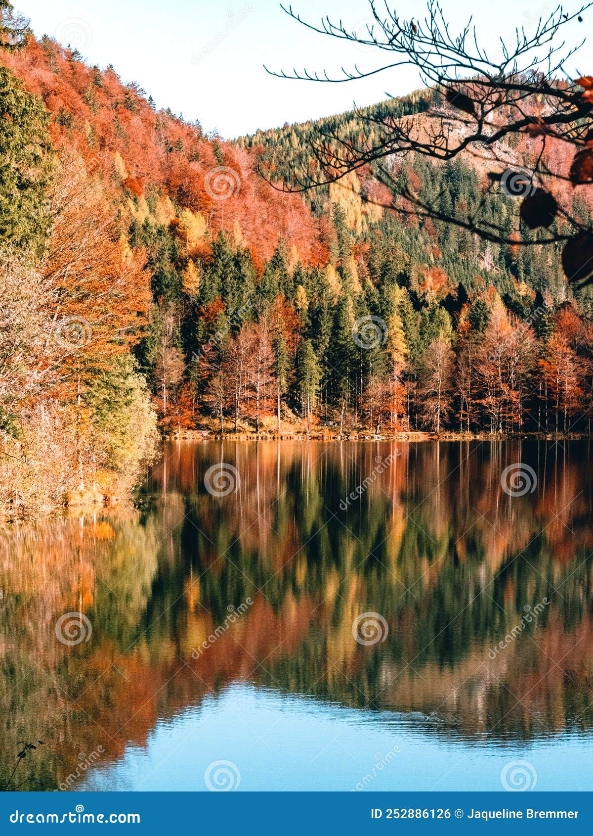 Autumn Trees Reflecting in the Lake Stock Photo - Image of morning ...