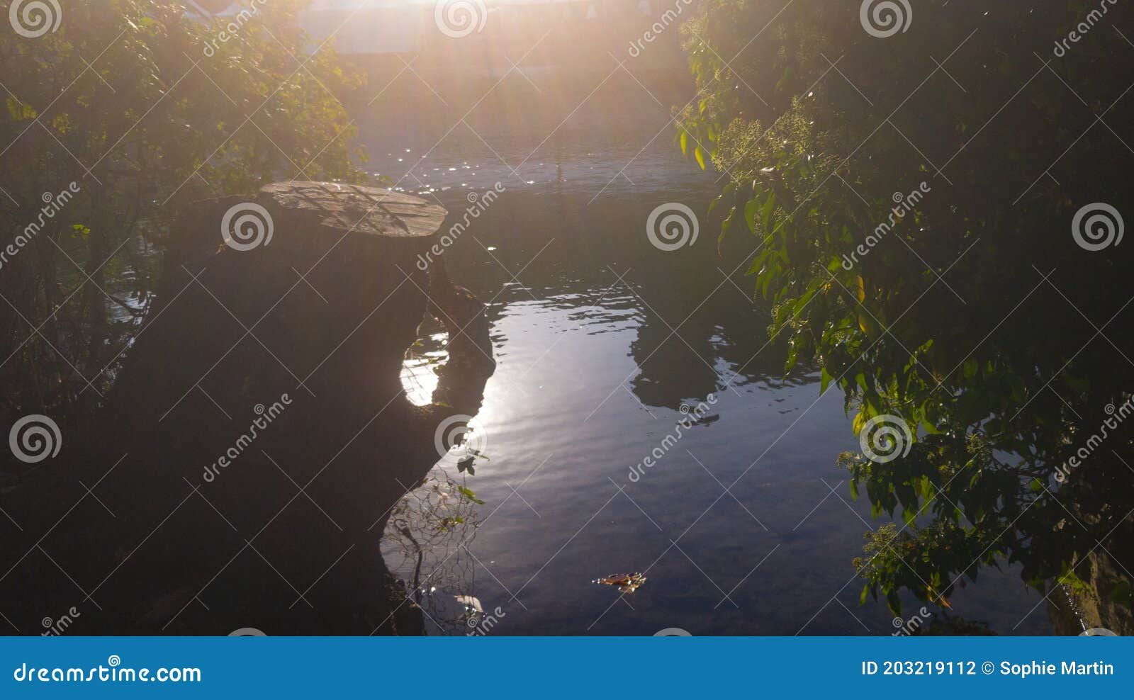 Water Reflection and Nature Stock Photo - Image of morning, autumn ...