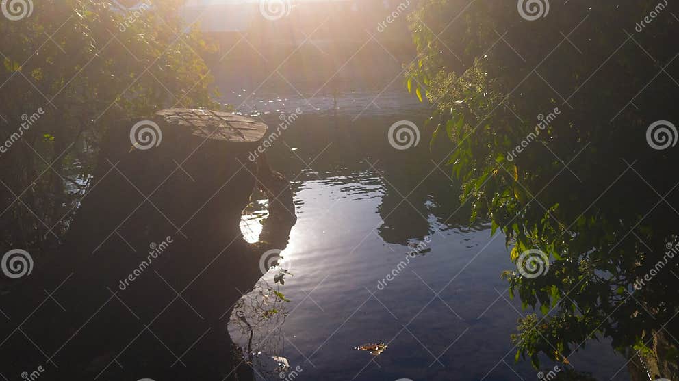 Water Reflection and Nature Stock Photo - Image of morning, autumn ...