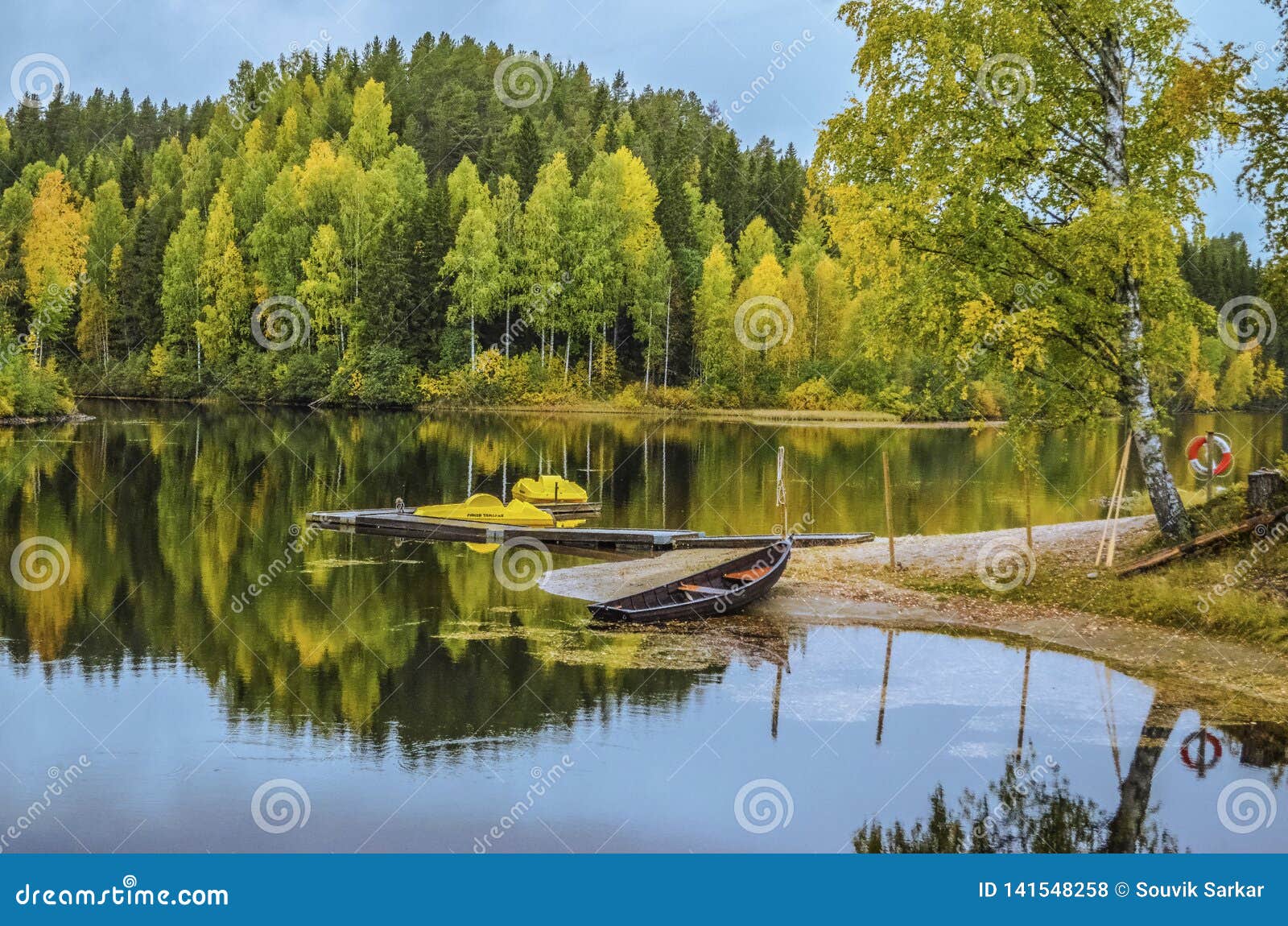 Water Reflection of Pine Trees with Yellow Leaf Under the Blue Sky ...
