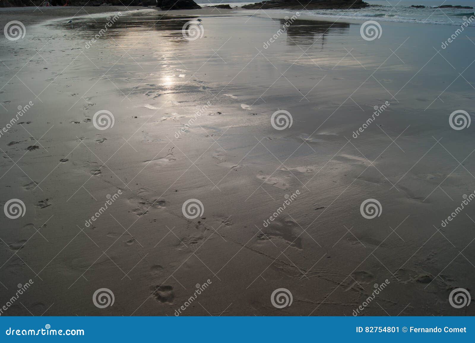 Water Reflection stock image. Image of summer, beach - 82754801