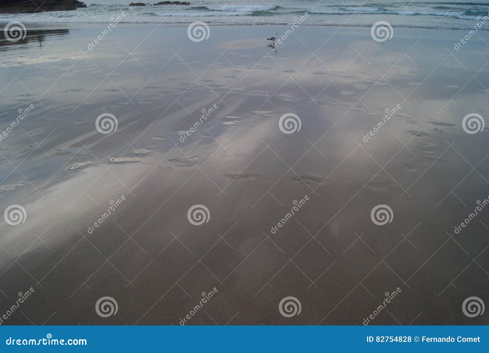 Water Reflection stock photo. Image of beach, sunlight - 82754828