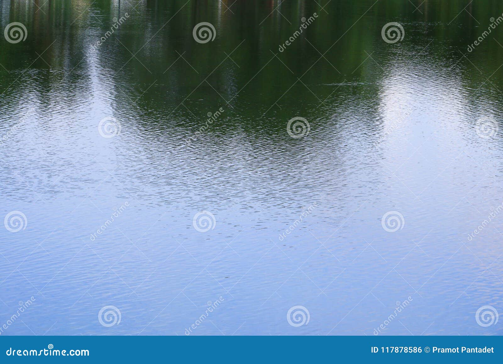Water Reflection with Shadow Tree and Sky in Public Park Stock Photo ...