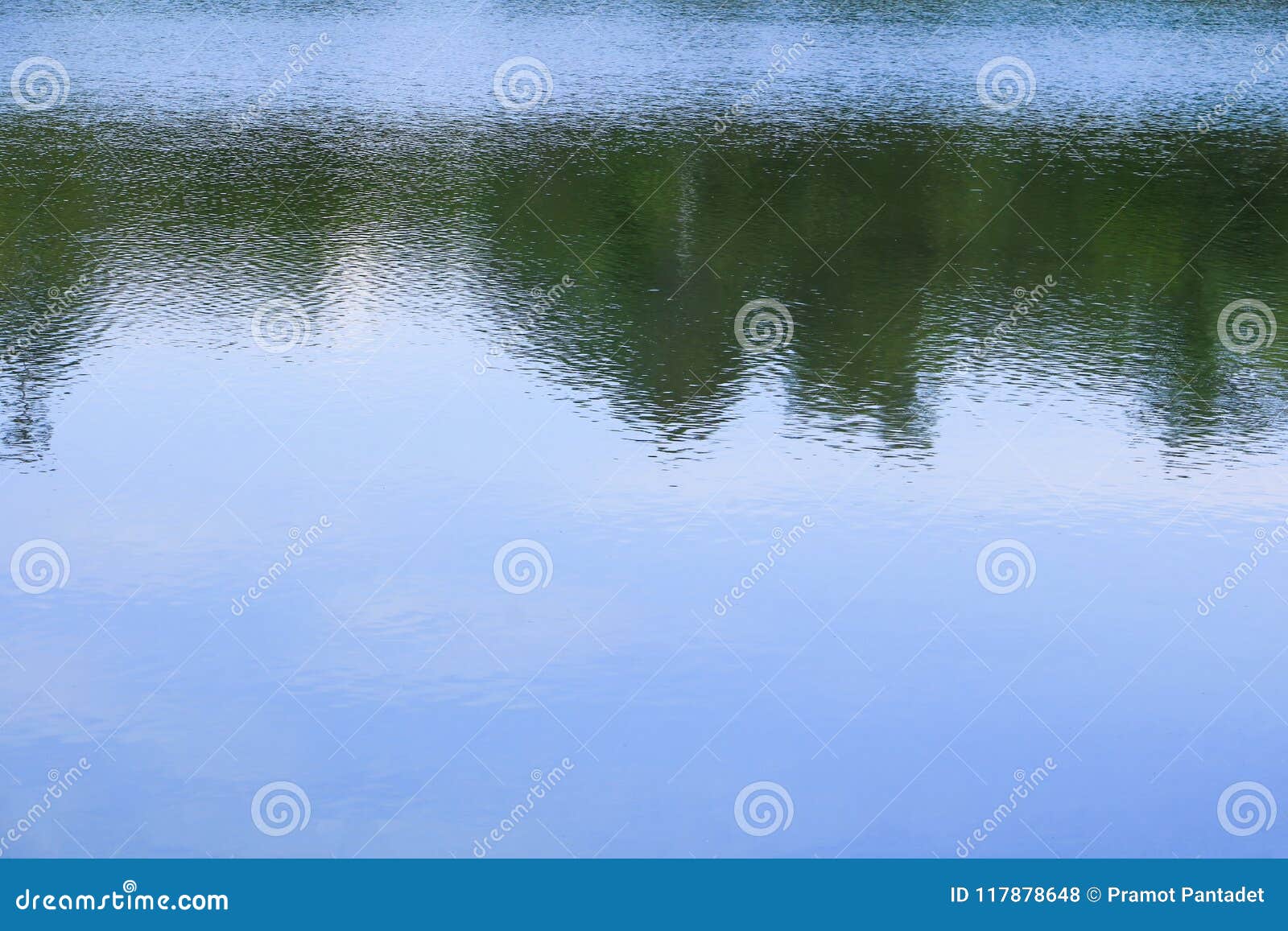 Water Reflection with Shadow Tree and Sky in Public Park Stock Photo ...