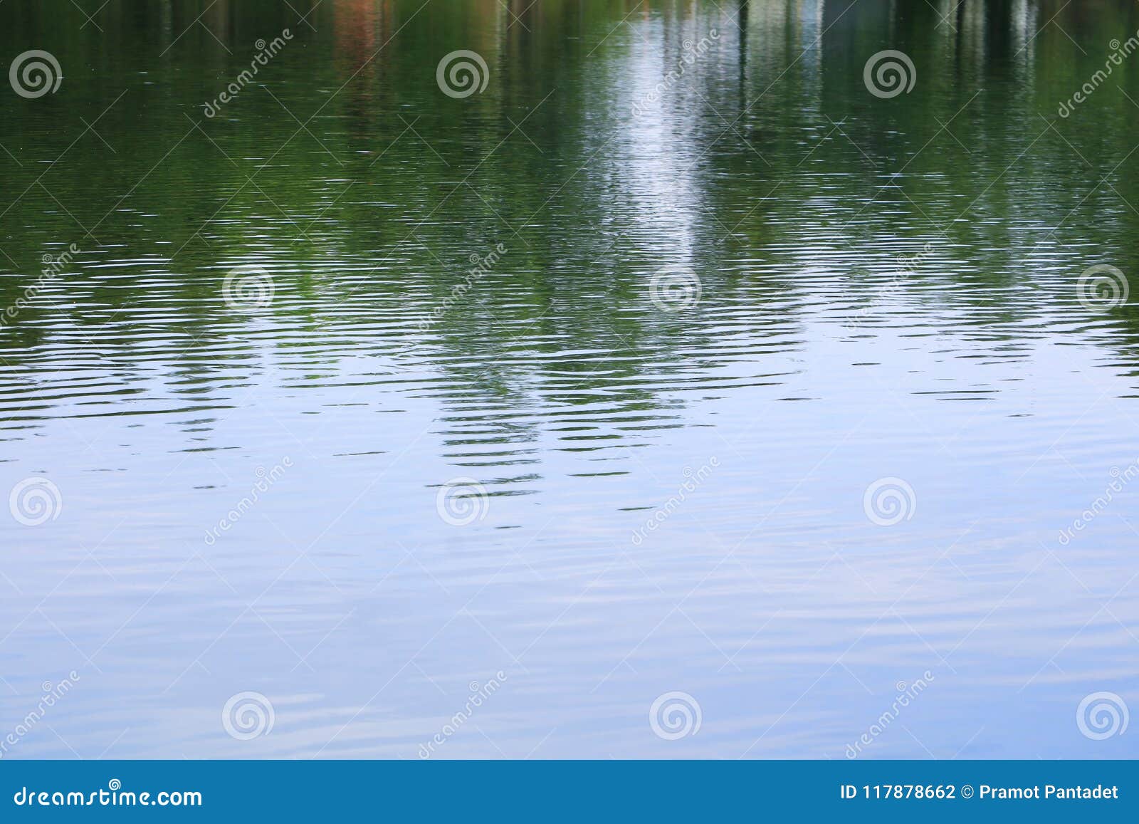 Water Reflection with Shadow Tree and Sky in Public Park Stock Photo ...