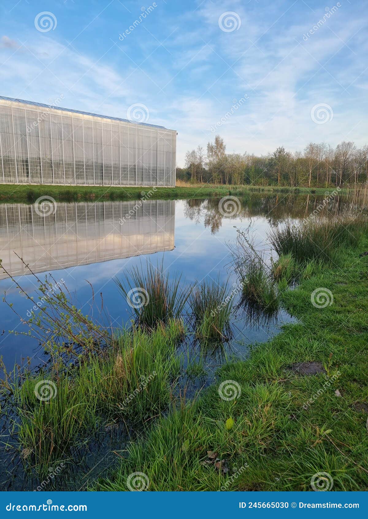 Water Reflection Shoot on S21 Ultra Stock Photo - Image of tower, river ...
