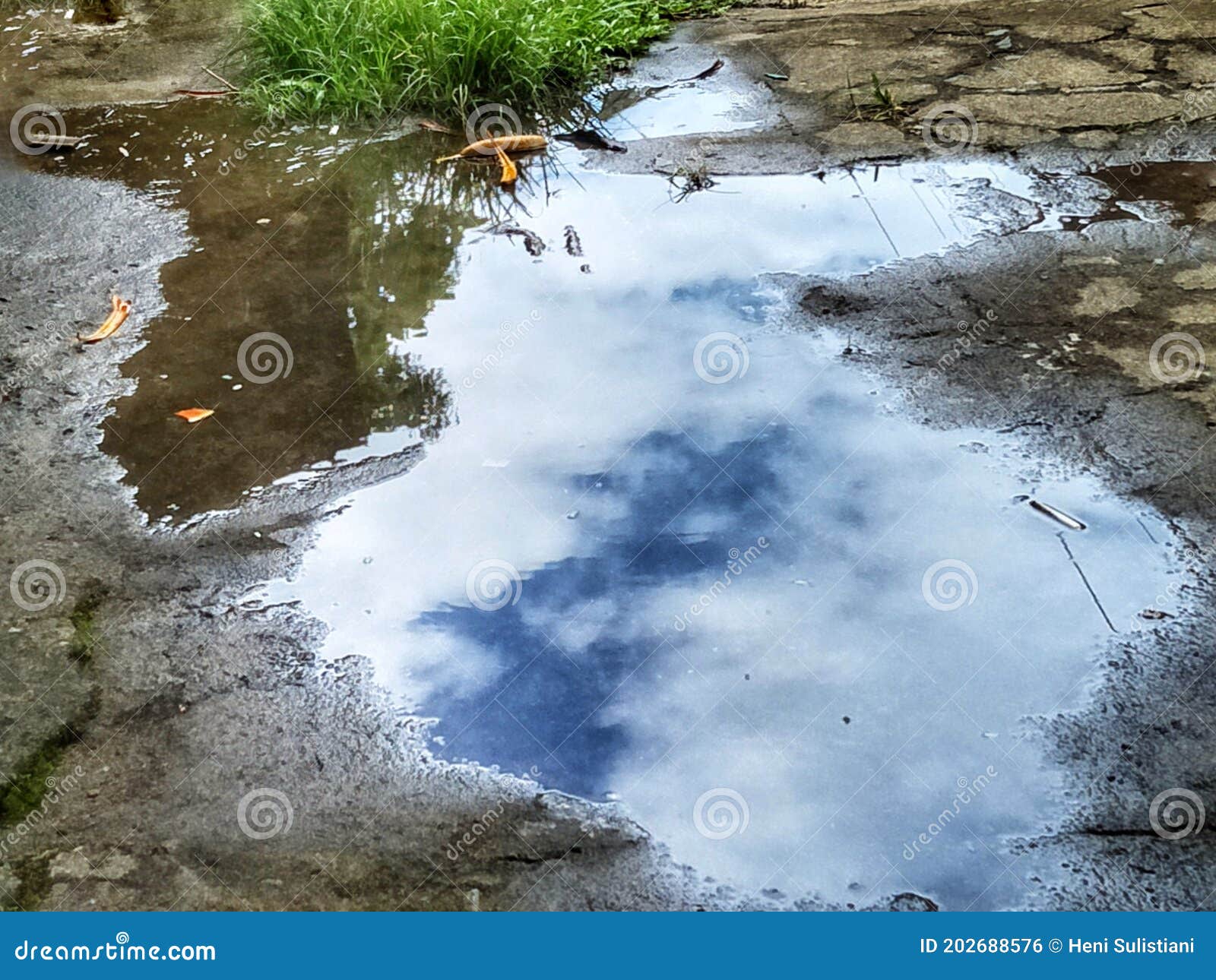 Water Reflection Stream Rain Blue Sky Stock Photo - Image of tree ...