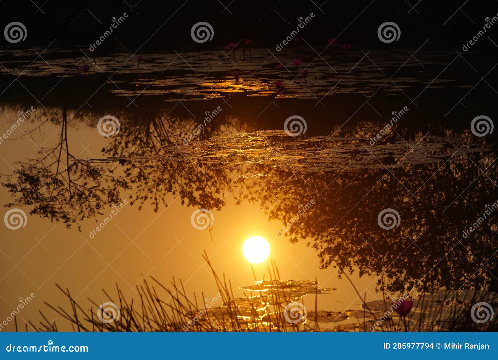 The Water Reflection of Sunset Silhouette Stock Photo - Image of water ...